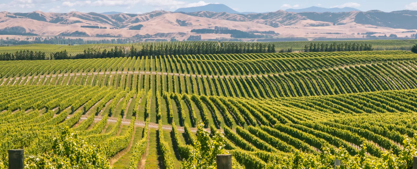 Backroads Blog | Backroads